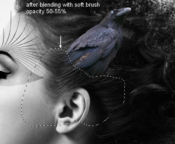 Create A Dark Abstract Crow Photo Manipulation - Page 2 of 3 ... Create A Dark Abstract Crow Photo Manipulation - Page 2 of 3 ...