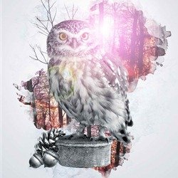 Interview With Designer Mauricio Raffin - Photoshop Tutorials